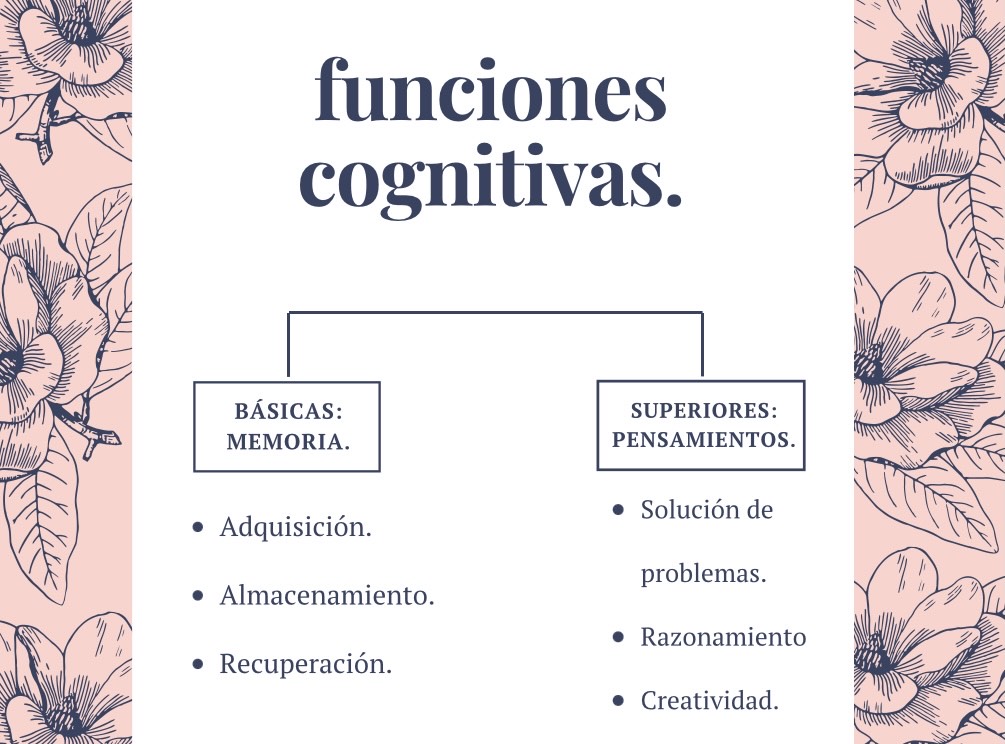 DESARROLLO COGNITIVO, INTELIGENCIA Y FUNCIONES COGNITIVAS. :: la magia ...